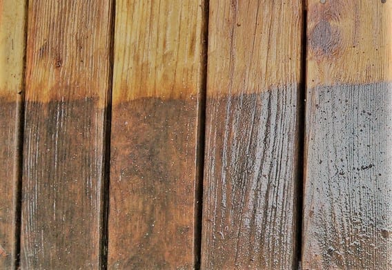 7 Must-Know Tips for Staining a Fence - SurePRO Painting