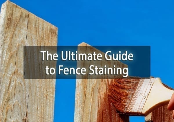 The Ultimate Guide to Fence Staining - SurePRO Painting